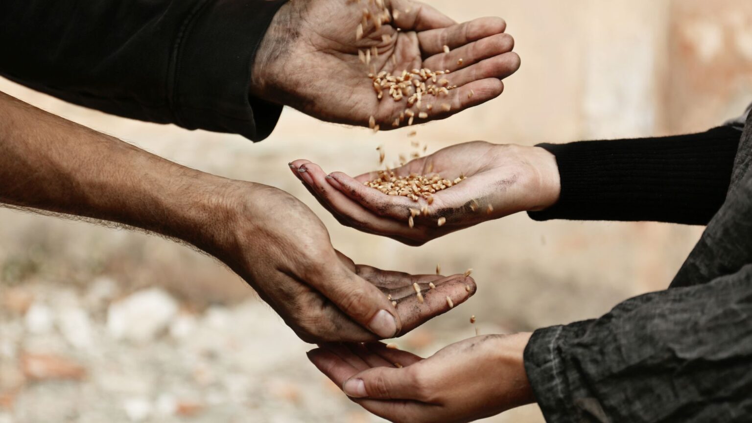 World Hunger Statistics 2024: Facts, Trends, & Challenges