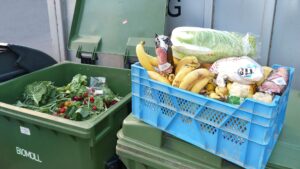 Food Waste Statistics: How Much Are We Really Throwing Away?
