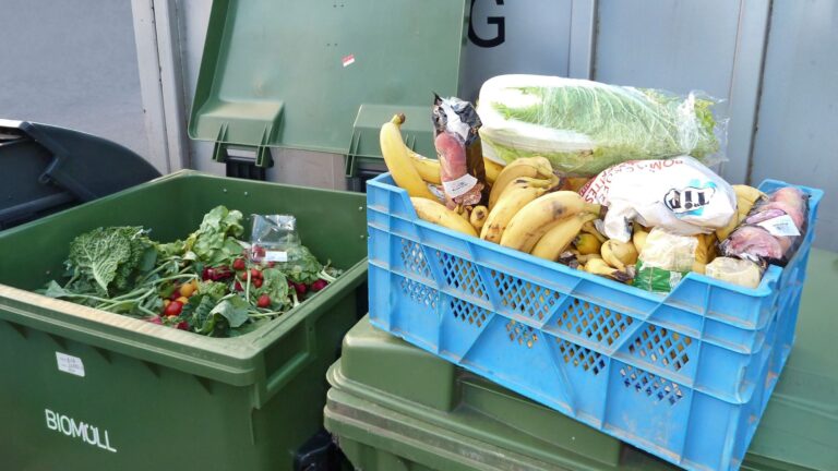 Food Waste Statistics: How Much Are We Really Throwing Away?