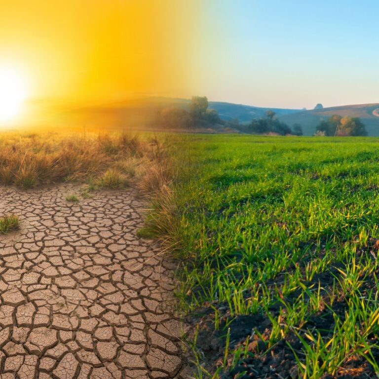 World Hunger Statistics 2024: Facts, Trends, & Challenges